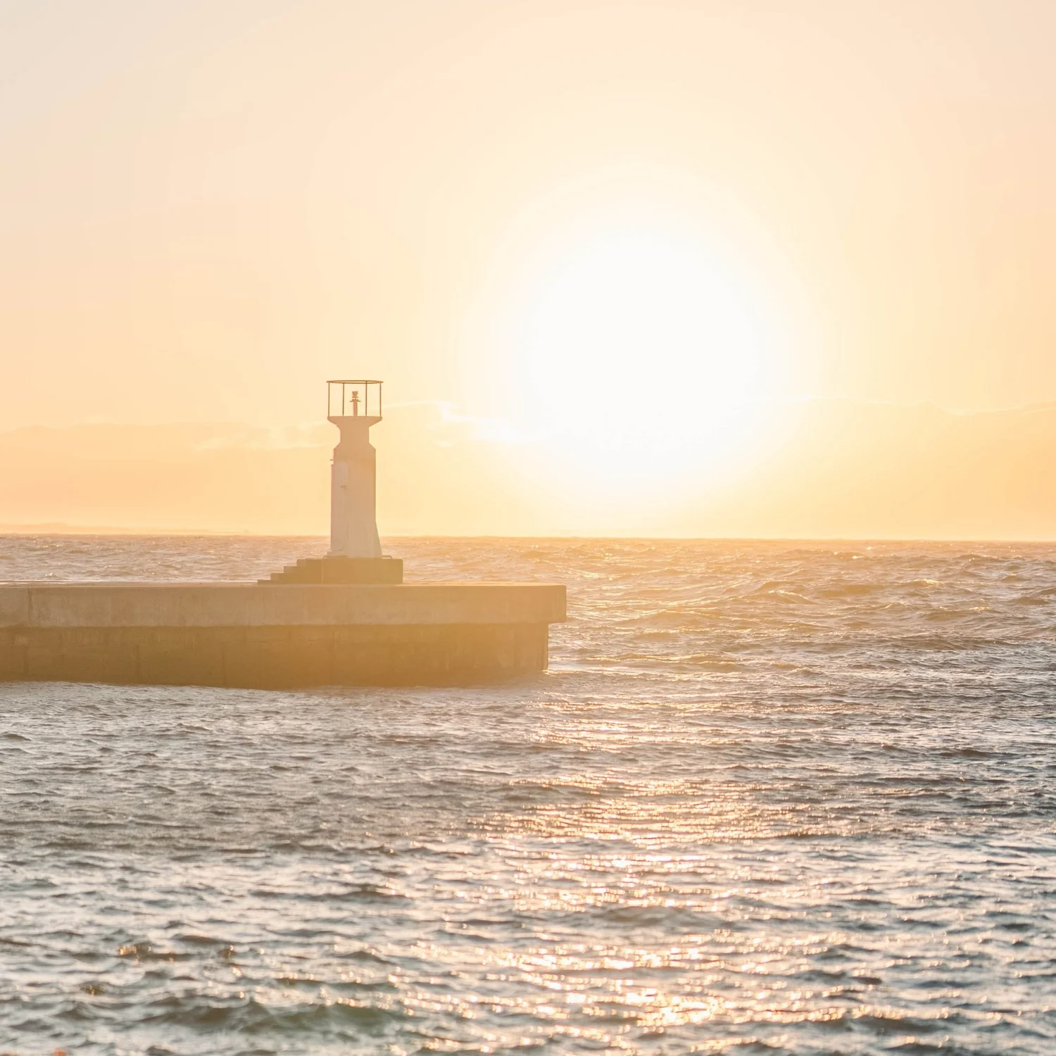 Compassion — Riverside Vineyard