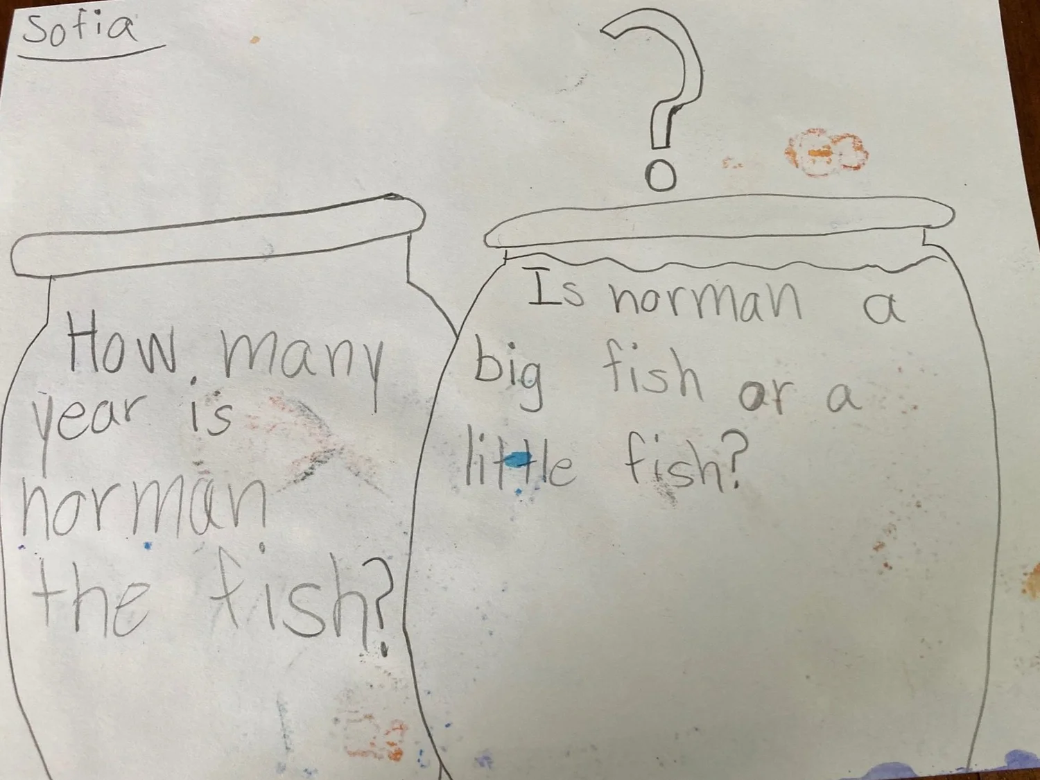 Kelly's Fishbowl | • KELLY BENNETT
