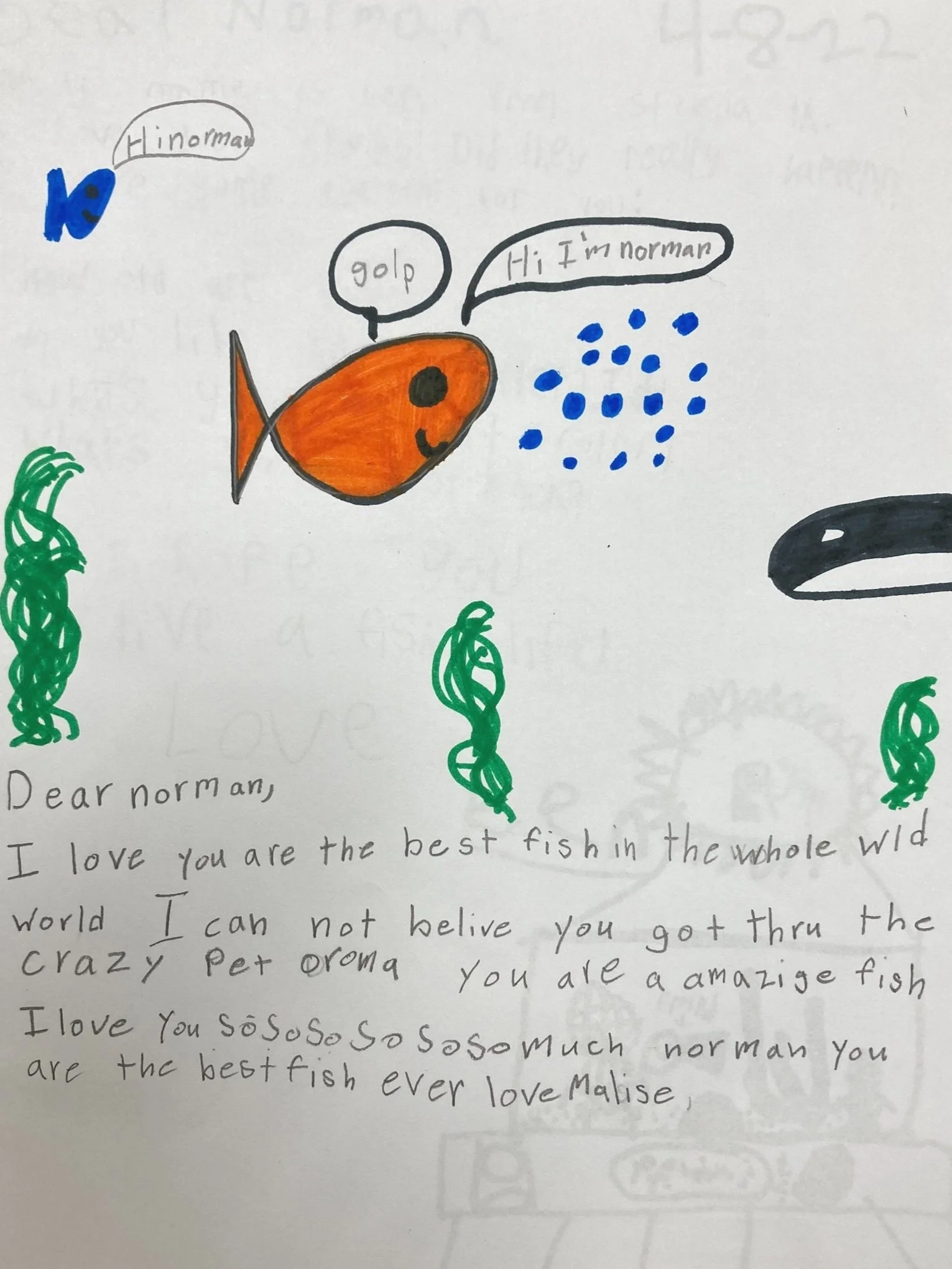 Fin Pal's Write the Finniest Letters — • KELLY BENNETT