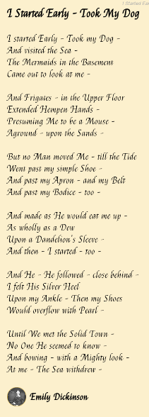 Kelly's Fishbowl | • KELLY BENNETT