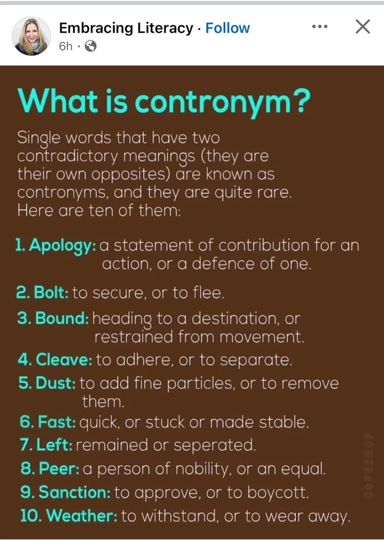 Kelly's Fishbowl | • KELLY BENNETT