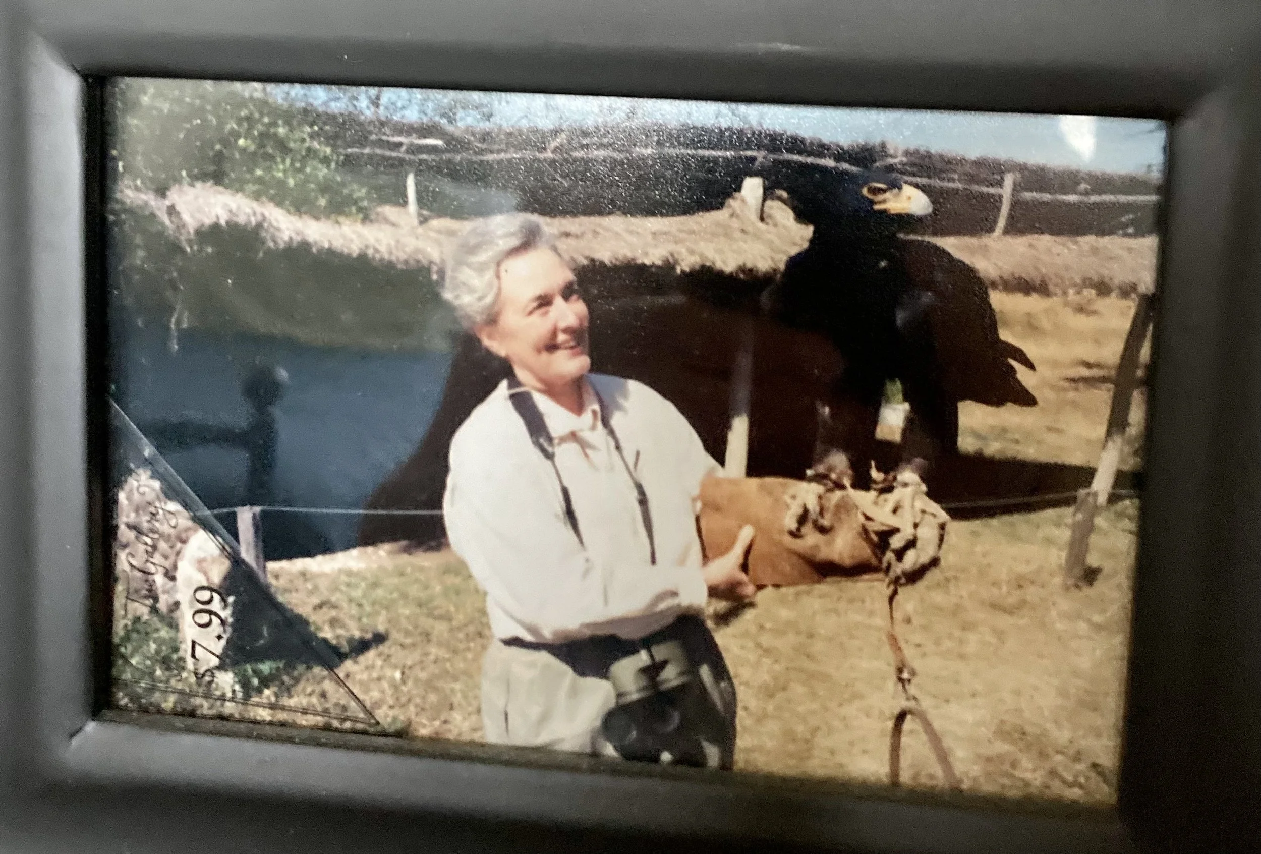 Honoring a Life: Adele Hutchinson Bennett — • KELLY BENNETT