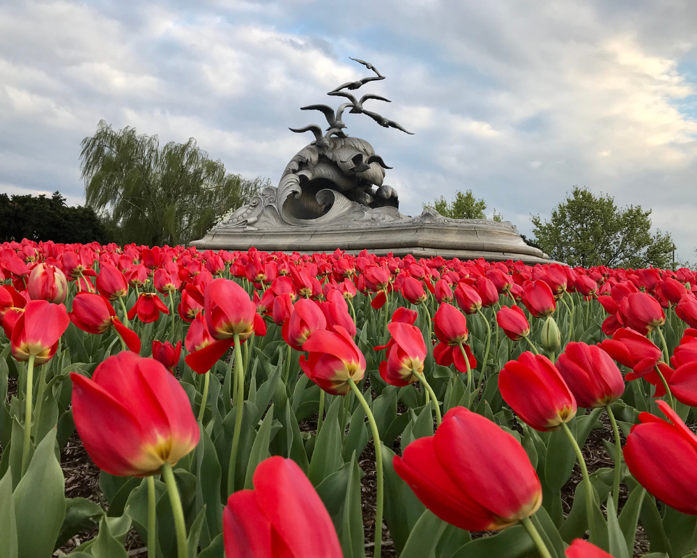 Local runners dish on the 5 best running routes along the Potomac River ...