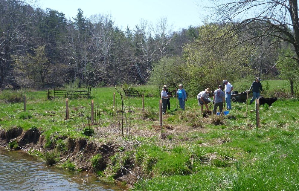 Photo Essay: Conservation Appreciation Along Hogue Creek — Potomac ...