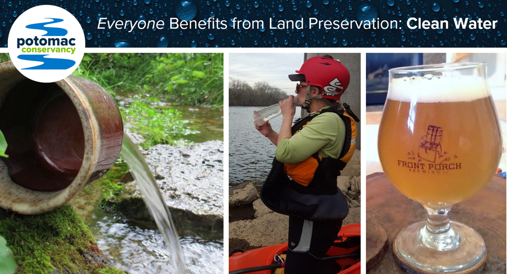 Photo Essay: The Connection between Our Land and Our Water — Potomac ...