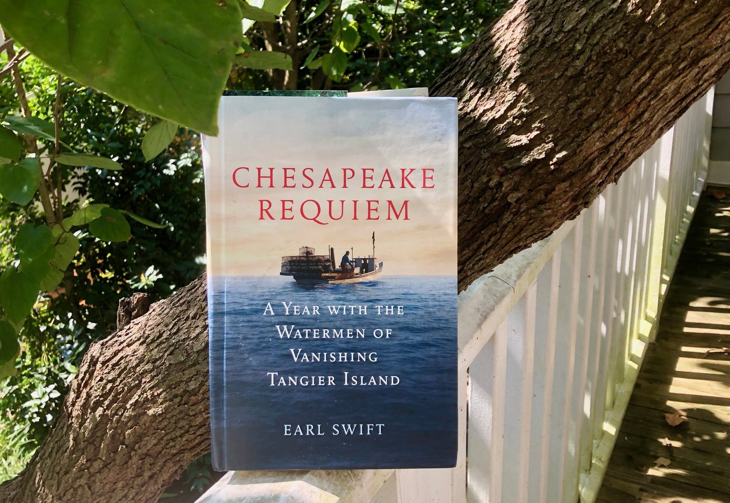Staff Picks: 6 Books to Read by the River — Potomac Conservancy