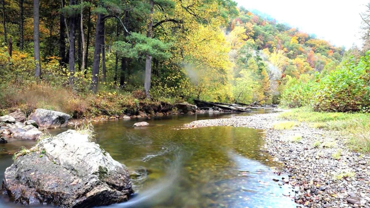 Potomac Conservancy and partners protect 755 acres in West Virginia ...