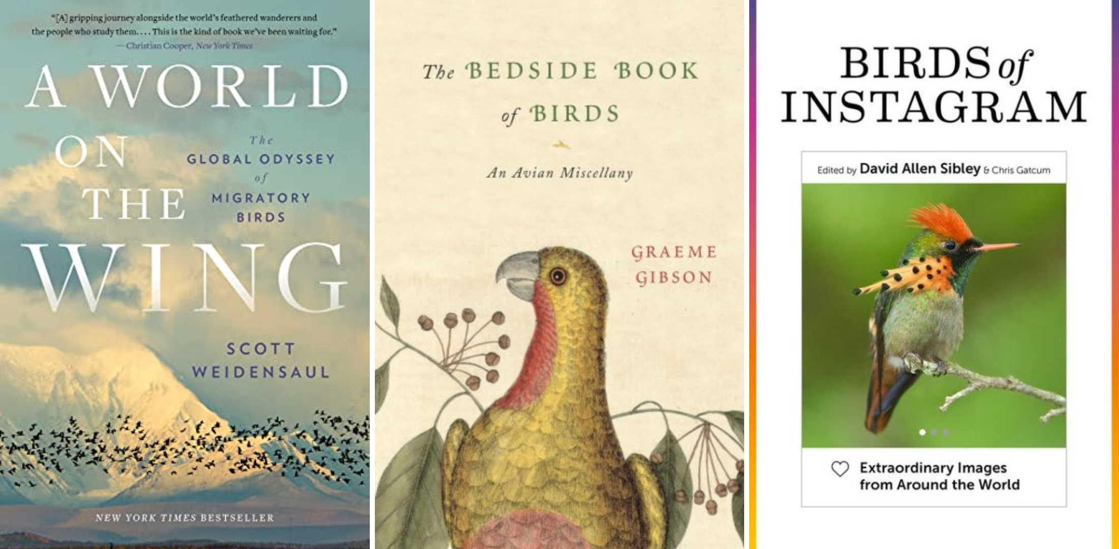 5 large birds you can easily spot along the Potomac River — Potomac ...
