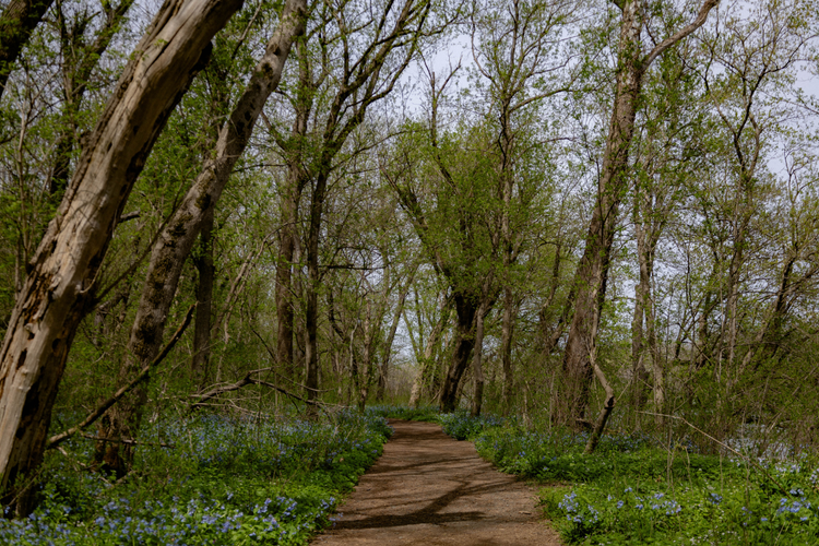 5 Potomac region running routes to help you spring into the warm ...