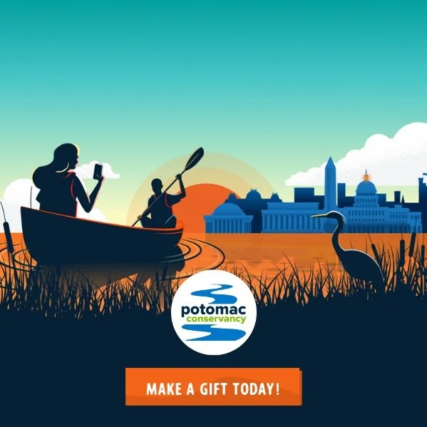Potomac Conservancy