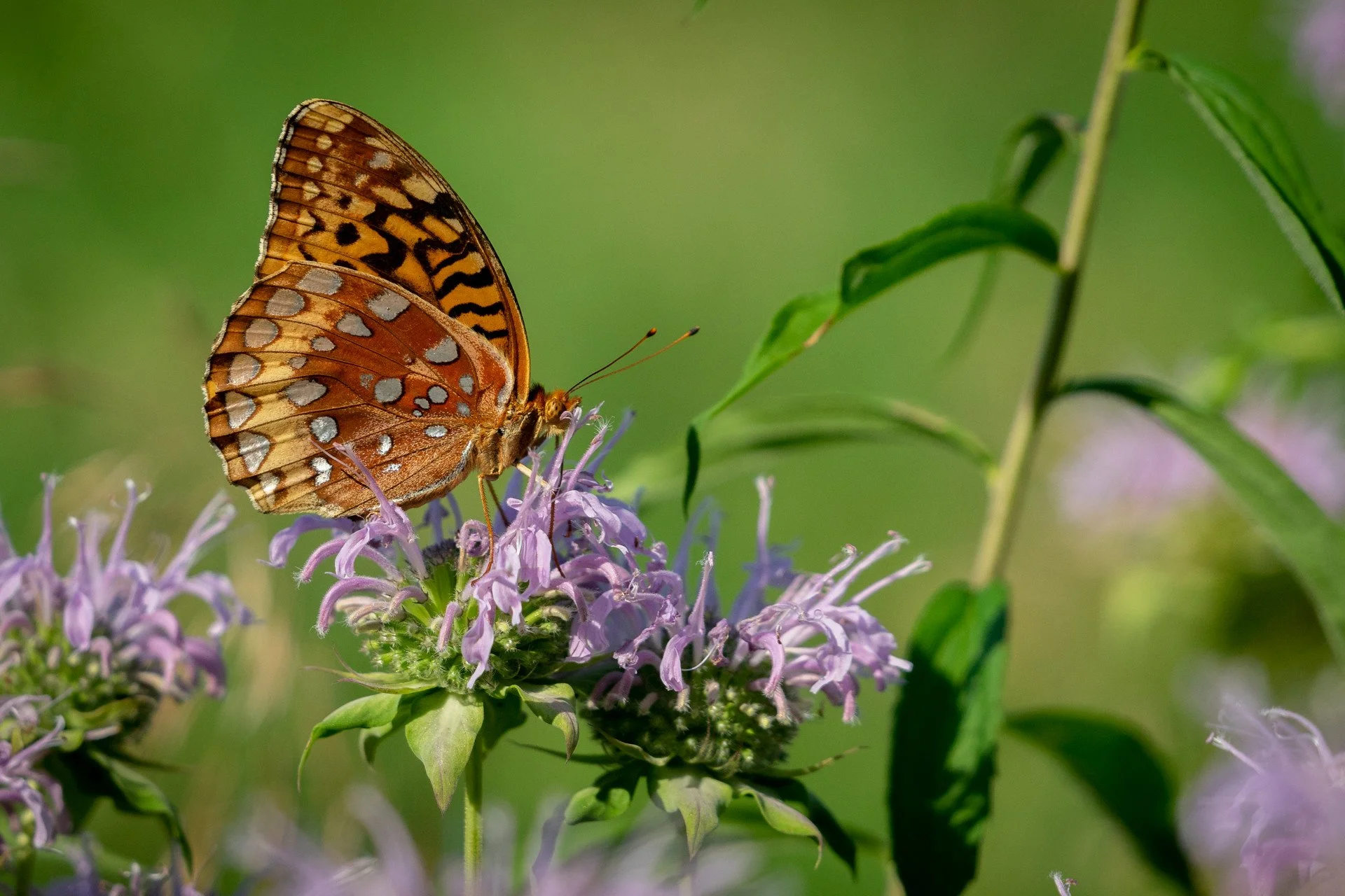 Hike this stunning Potomac River region park honoring environmentalist ...