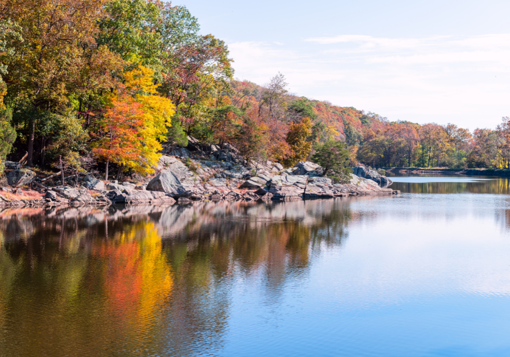 Nature’s mast years: the mystery of the tree's bountiful seeds and acorns in the fall — Potomac ...