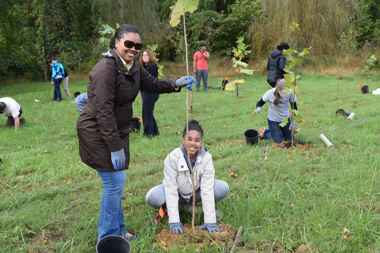 Why we’re obsessed with nature’s water TREEtment plants. — Potomac ...