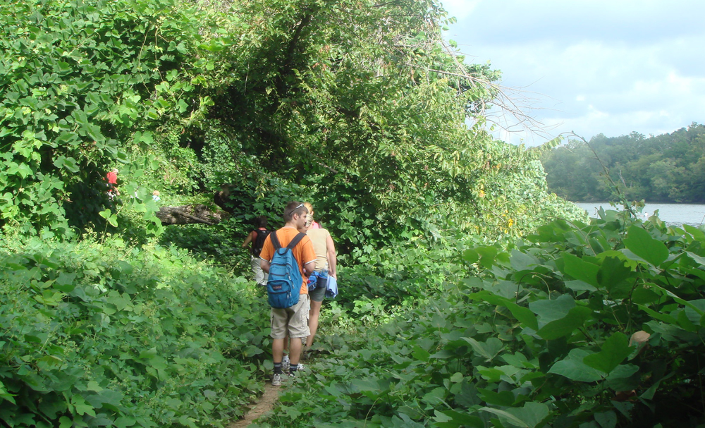 5 less obvious benefits of land conservation — Potomac Conservancy