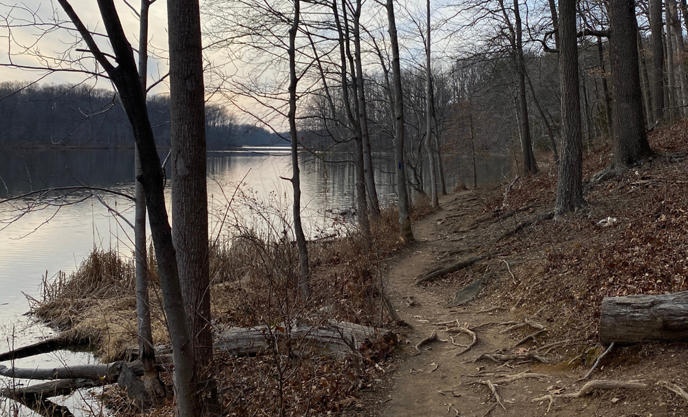 Staff picks: 7 local trails to explore throughout the Potomac River ...