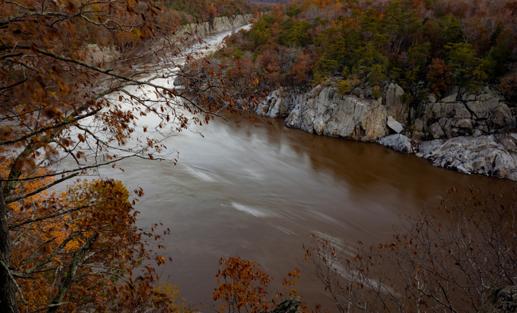 Potomac Conservancy’s Indigenous allyship commitment — Potomac Conservancy