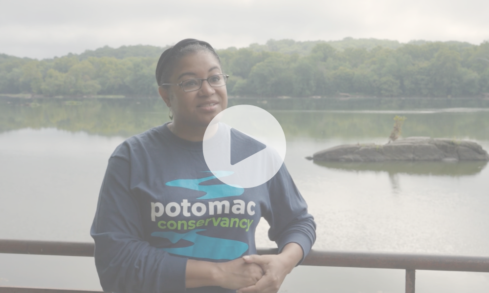 Clean Water – Healthy Communities: Our Campaign for the Potomac River ...