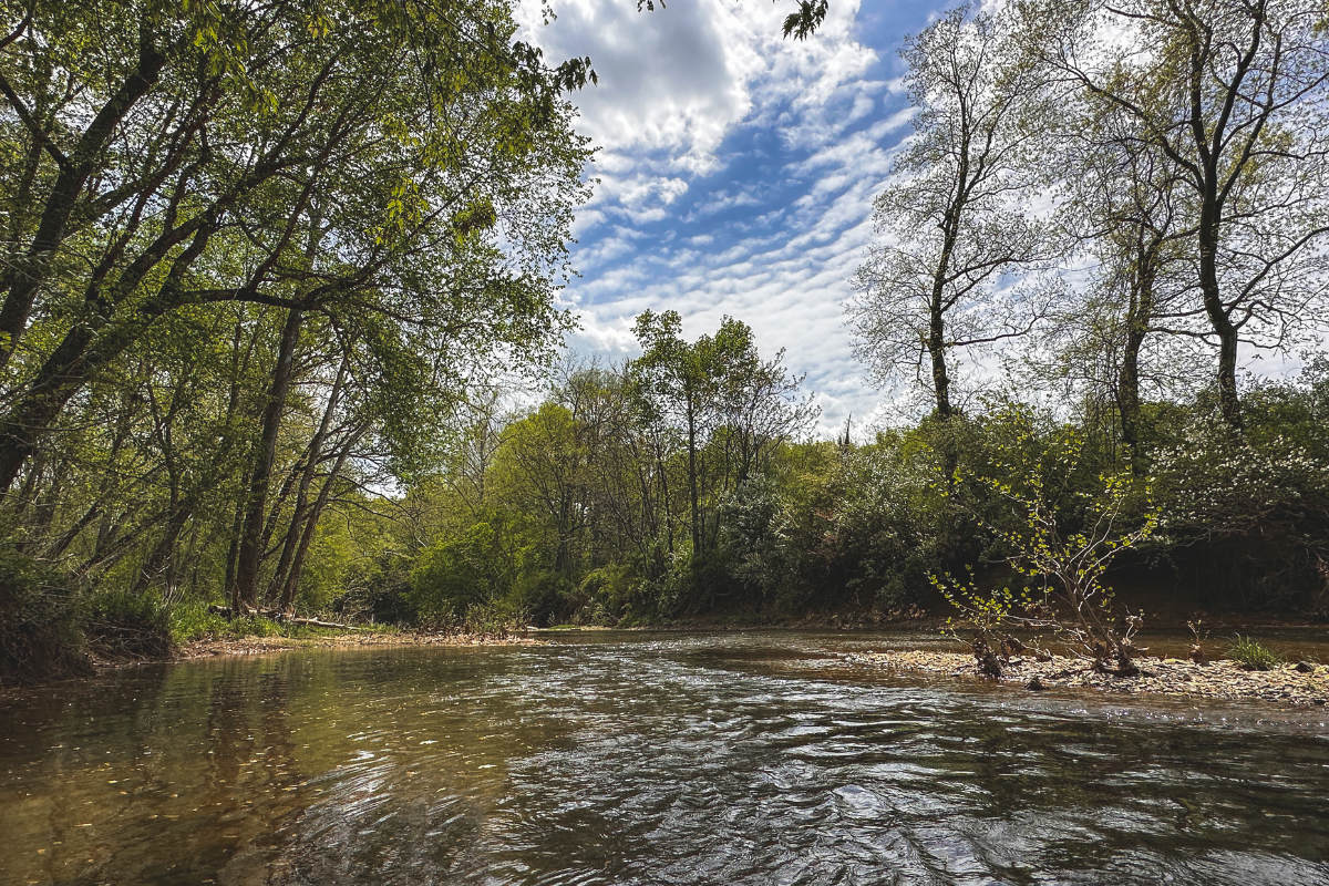 Why Saving Back Creek Matters—3 Locals Share Why This Hidden Gem ...