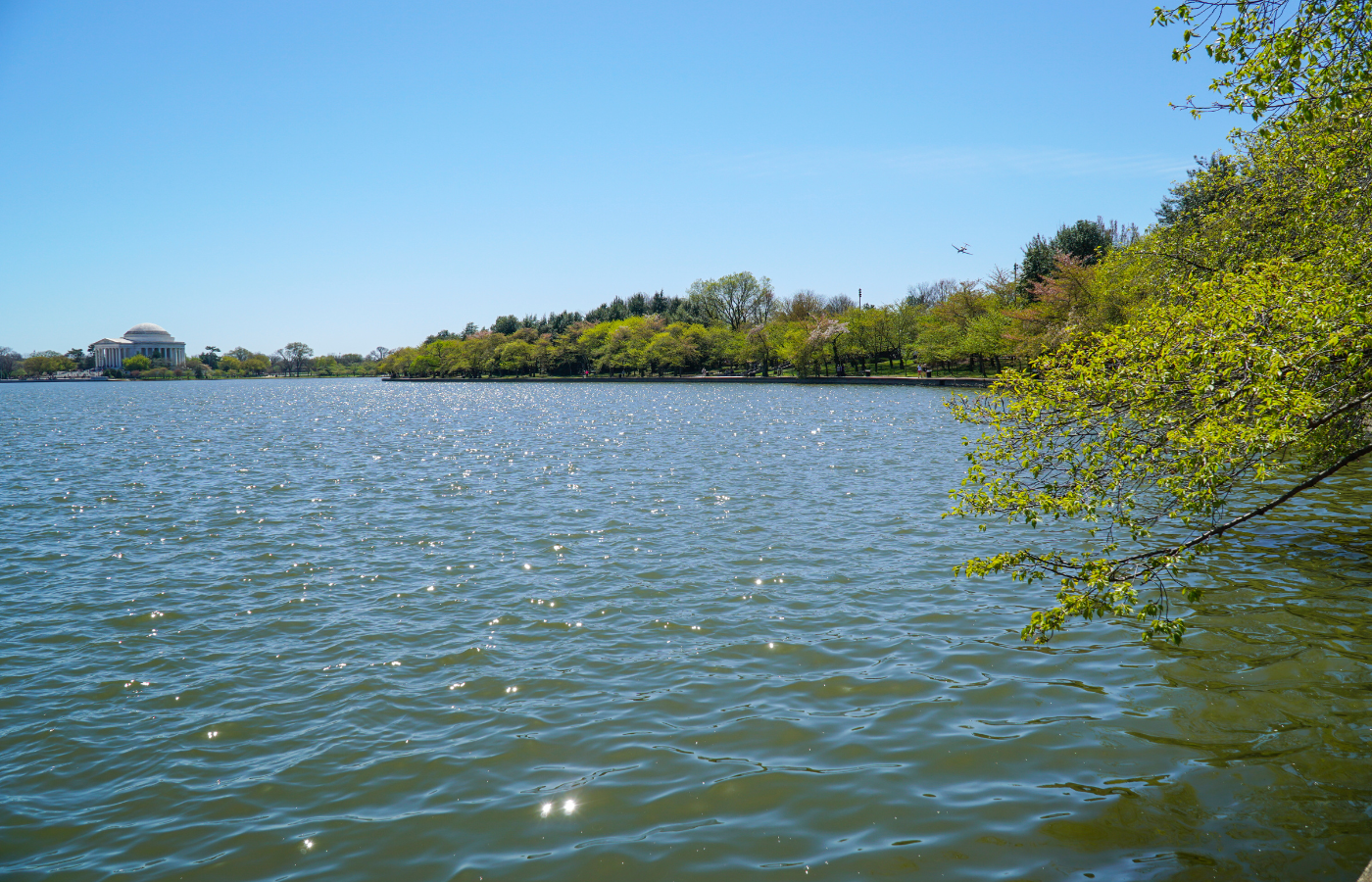 Banned from the water: the history of swimming in the Potomac River ...