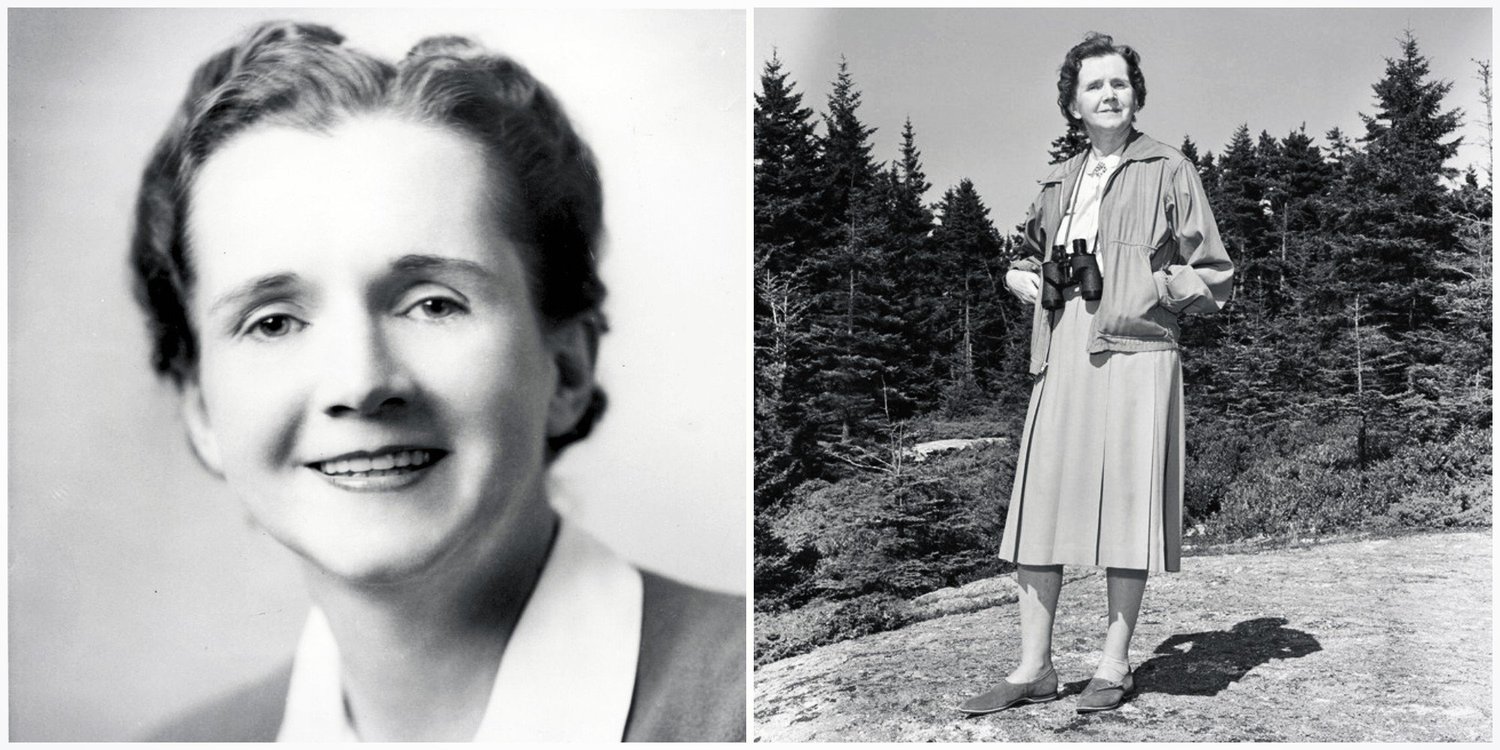 Hike this stunning Potomac River region park honoring environmentalist ...