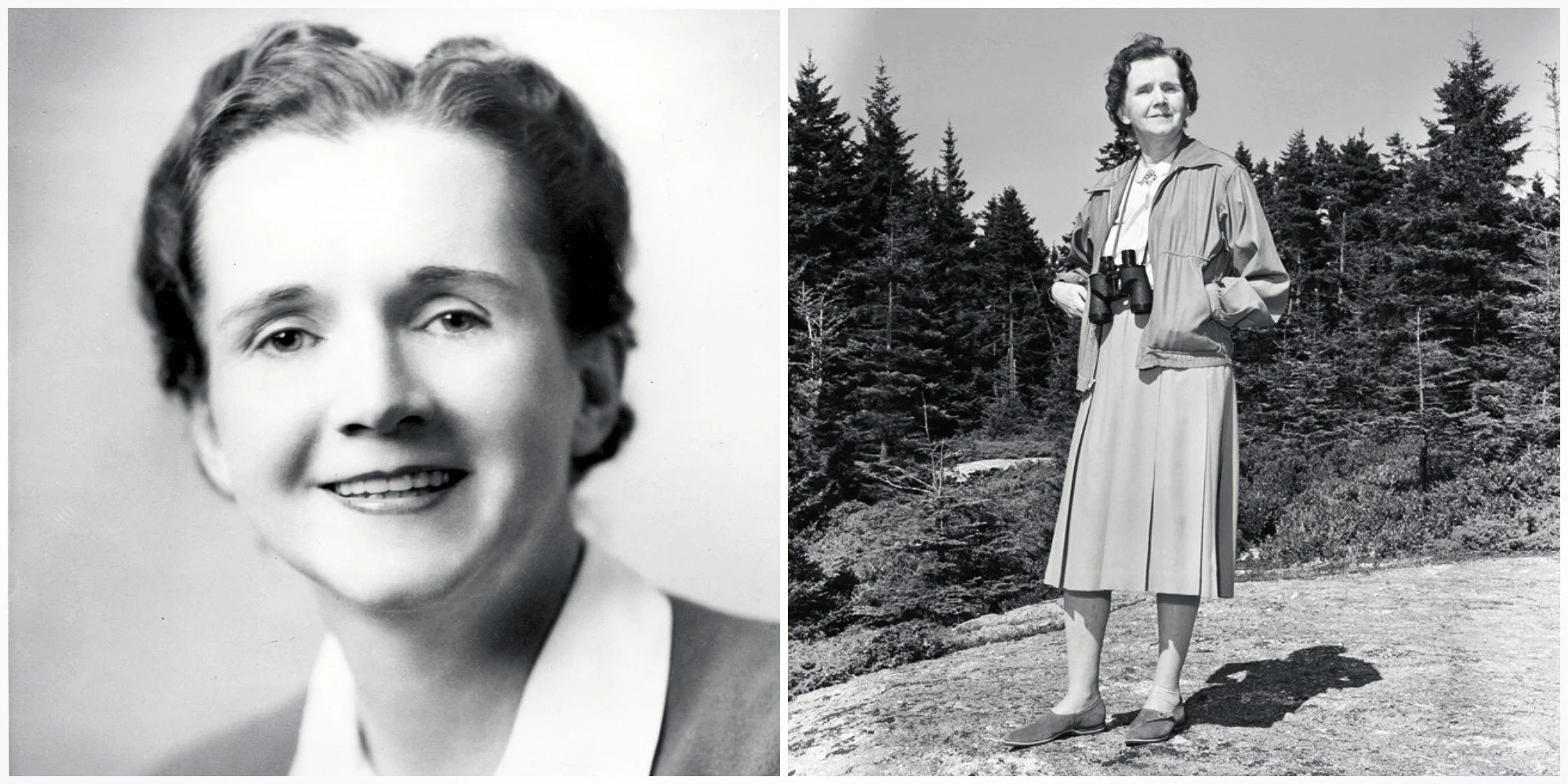 Hike this stunning Potomac River region park honoring environmentalist ...