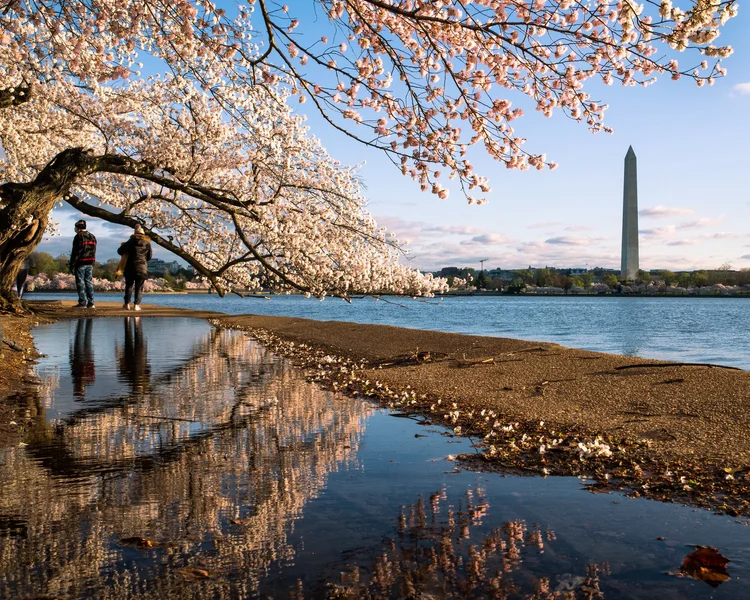 As the climate crisis raises the Potomac River, Tidal Basin seawalls ...