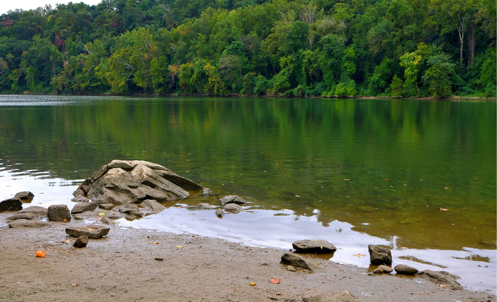 The health of the Potomac River has improved. So why isn’t fishing safe ...