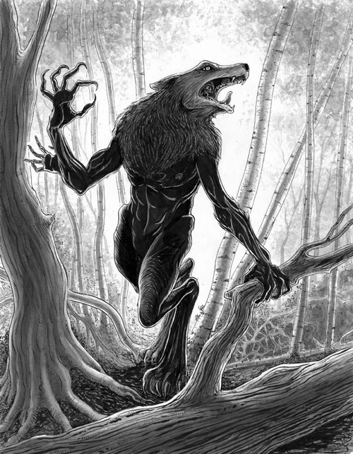 Skinwalkers: Friends by Day, Enemies by Night — SPINE ONLINE