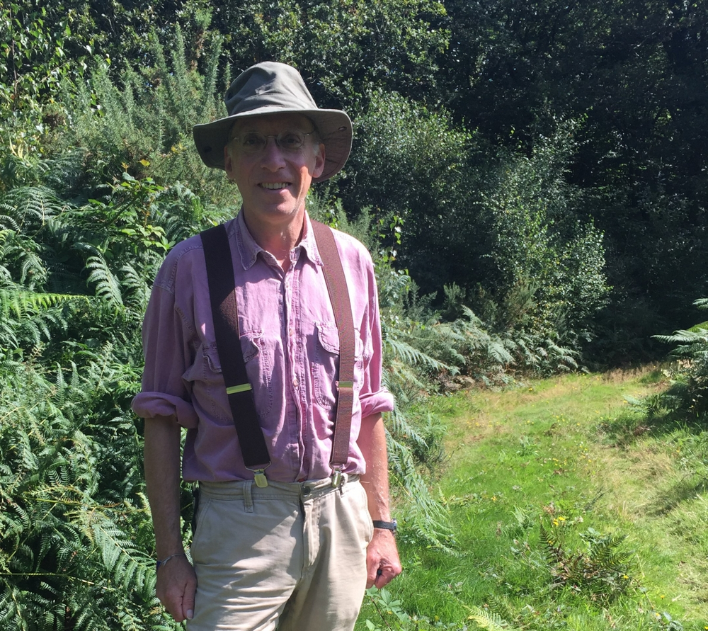 Stephan Harding on Gaia and the Intense Living Presence of the Earth ...