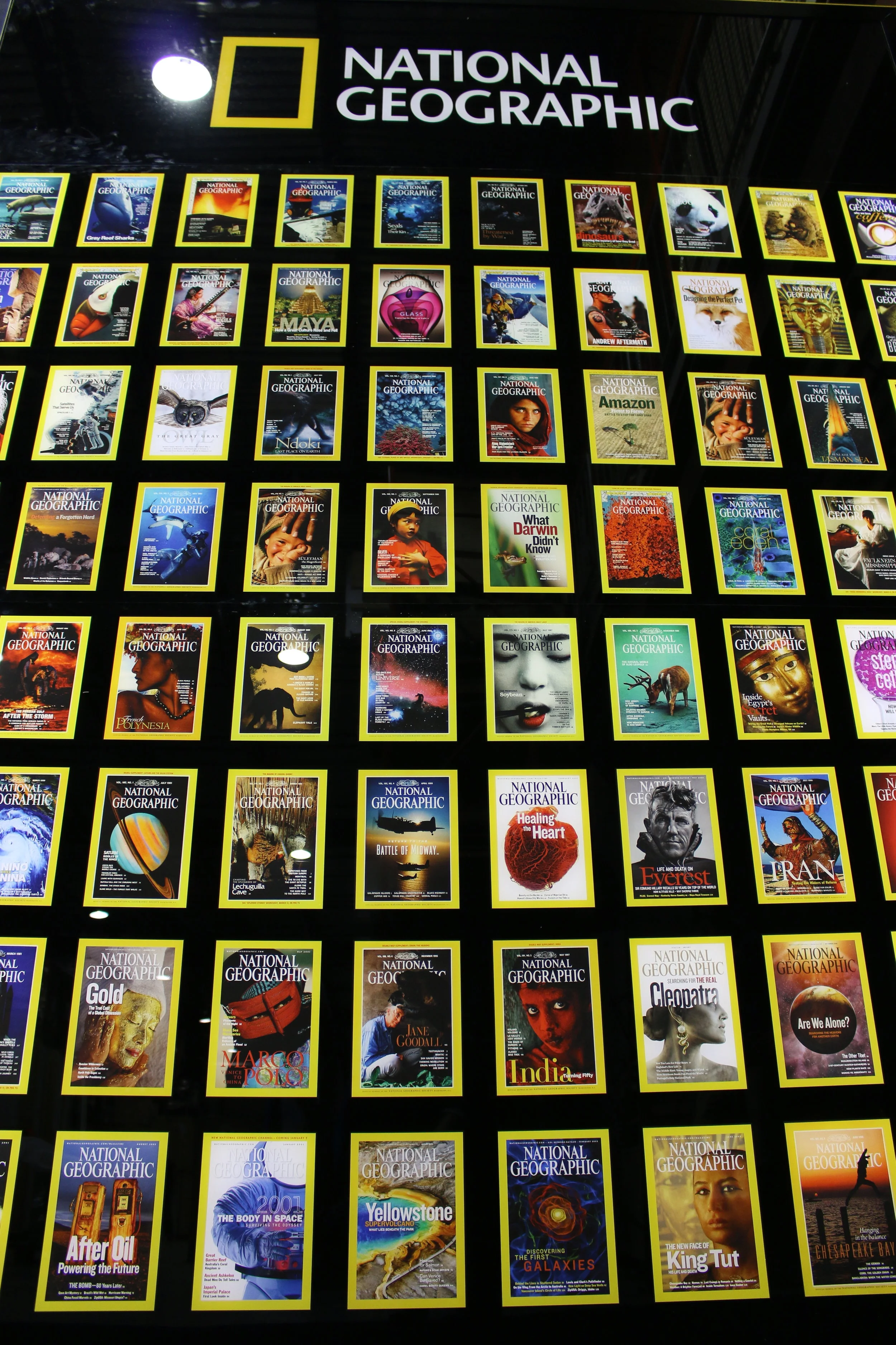 National Geographic — Exhibit Solutions Inc.