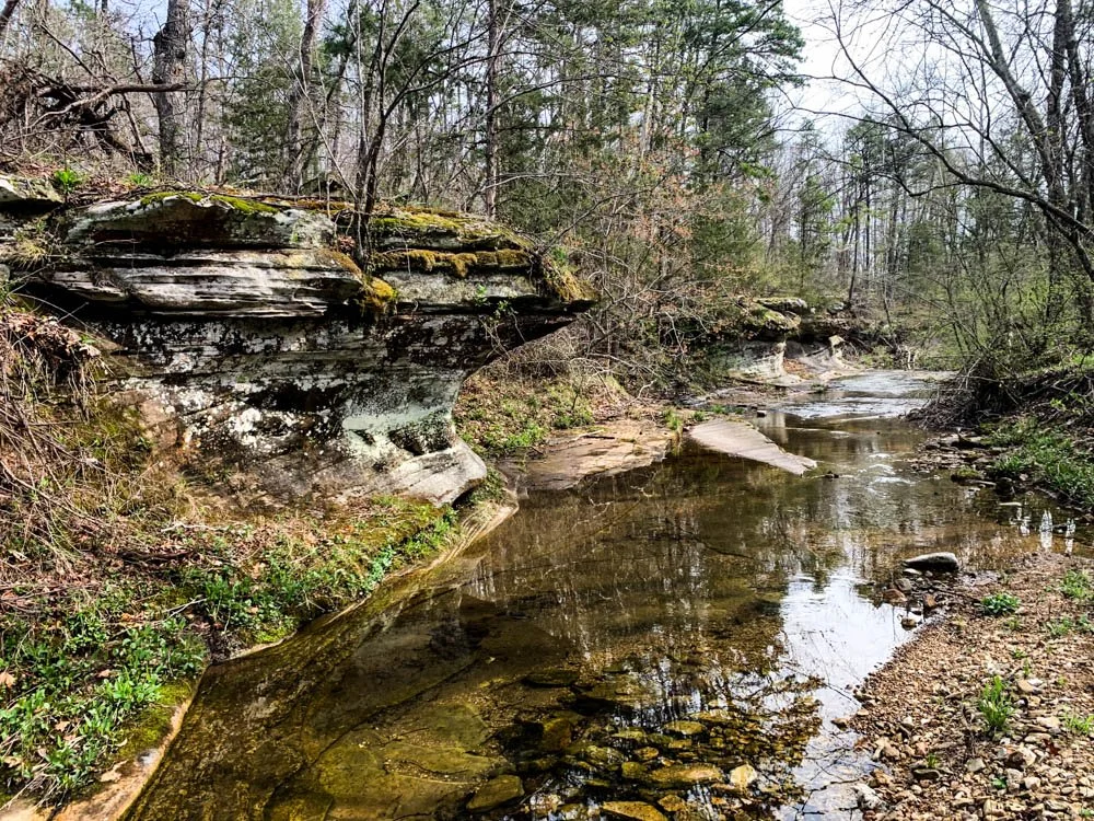 Acreages, Farms and Ranches — Sierra Ozark Corporation