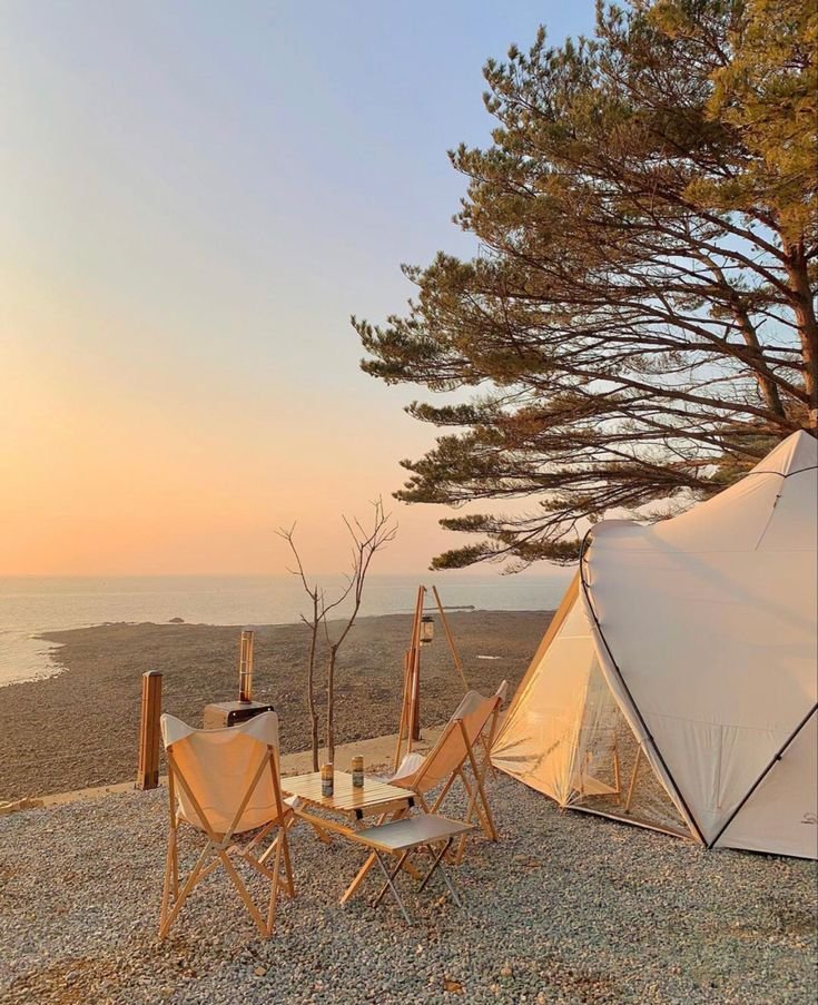 Vacation Camping Guide: Fun Tips For Your Outdoor Adventure — Hello ...