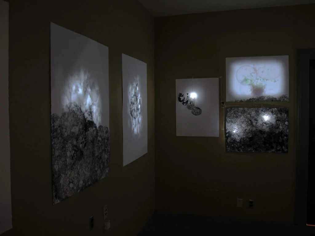 projecting onto mirror arrays — BEN PURDY