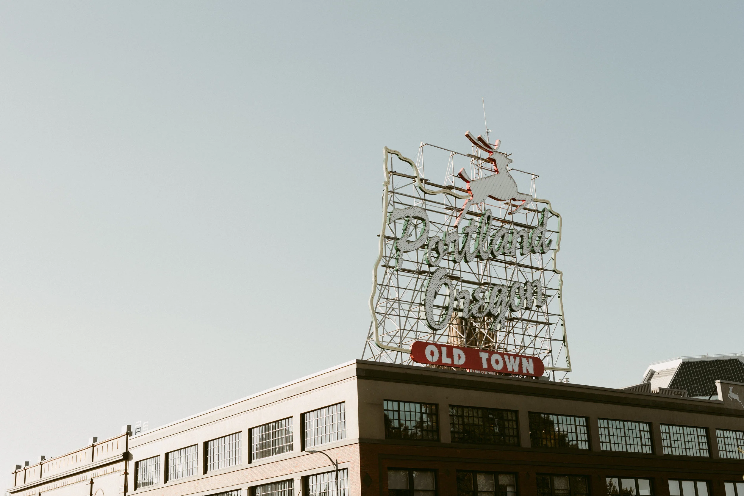 Portland, Oregon // Gina & Michael — Northern Wildflower