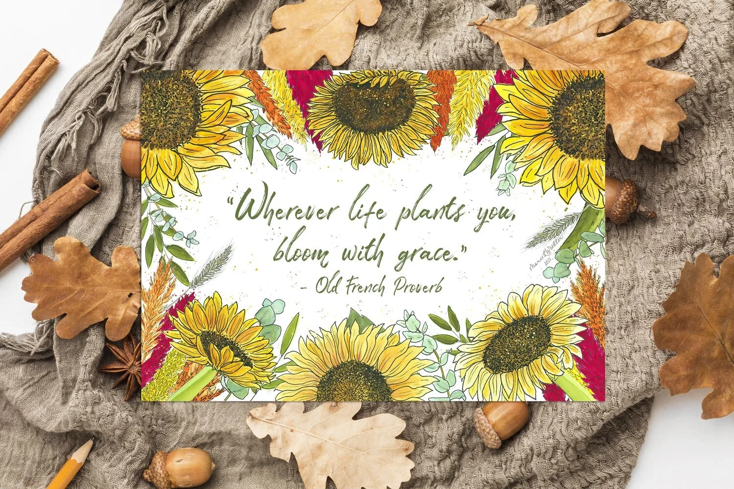 Circle of Life Photography and Design — Circle of Life Design ...