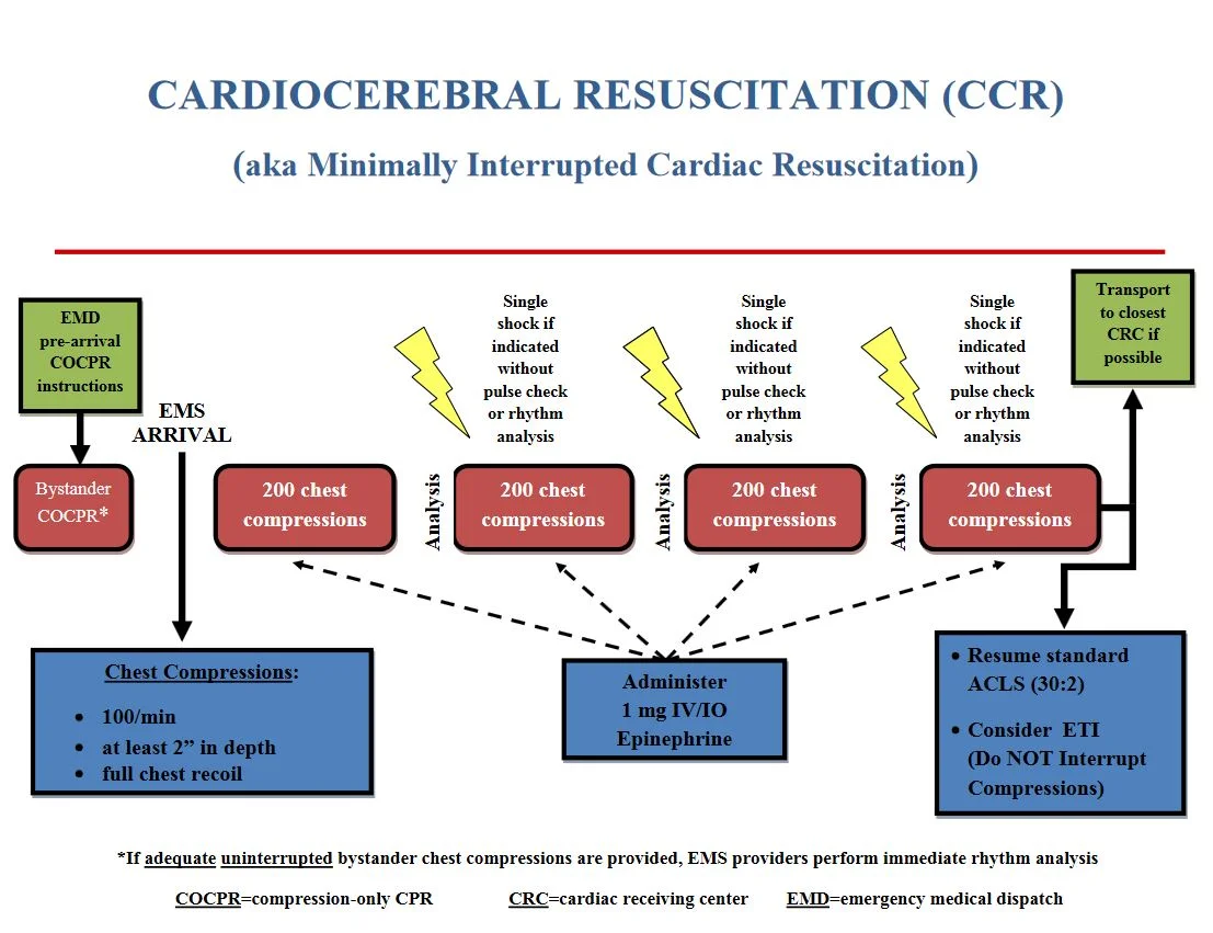 cardiocerebral — imagessays