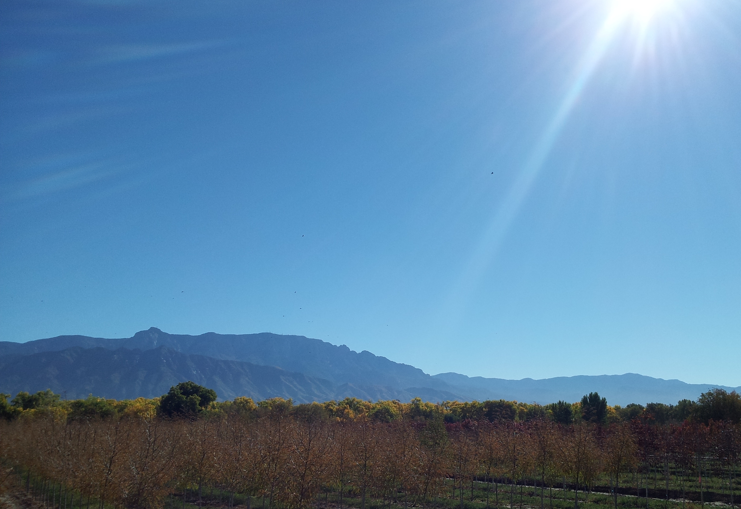 About Us — Bixby Electric