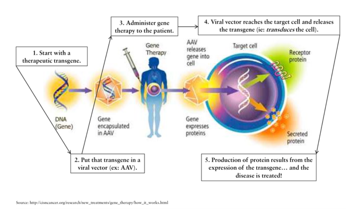 Gene Therapy — BioViva USA Inc™Tean-BioViva Sciences