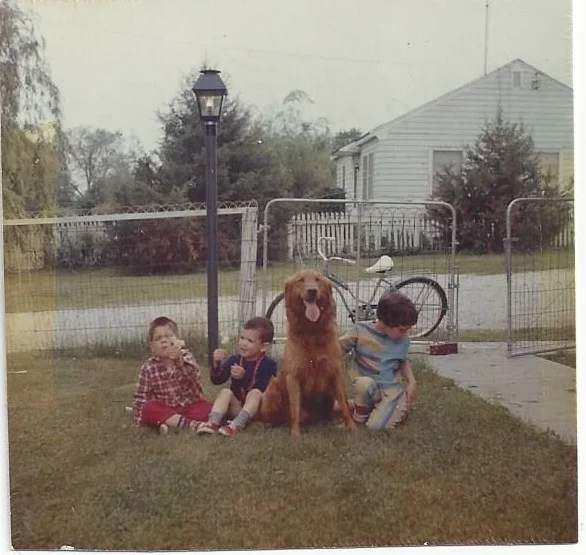 Gallery — Sean Strub