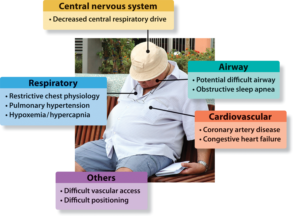 Obese Hypoventilation Syndrome From New To ICU