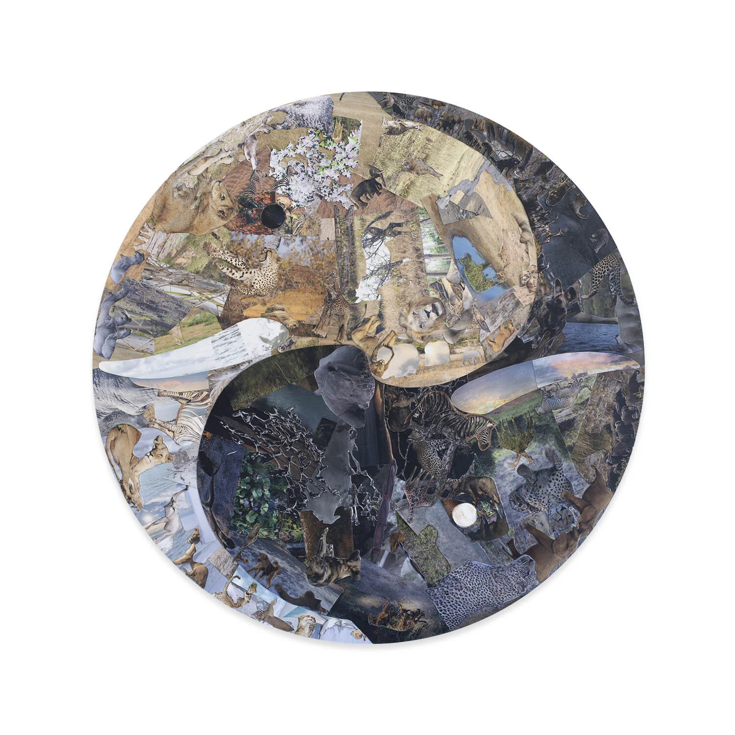 Nick Gentry | Portrait Artist