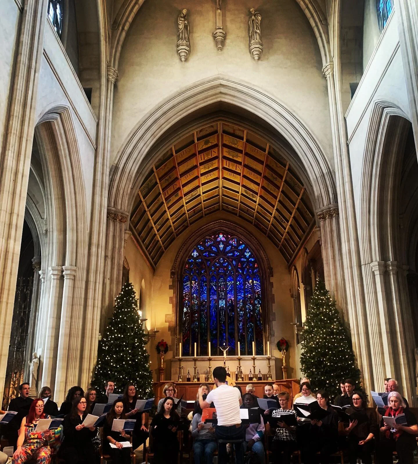 Governance — The Purcell Singers