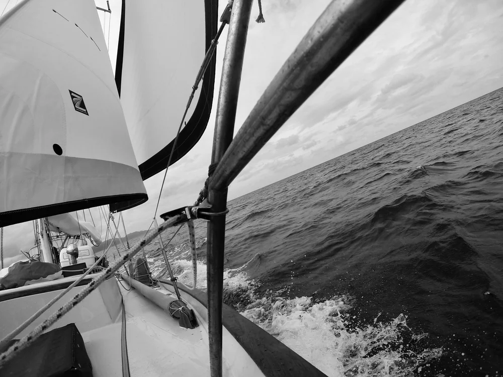 Sailing Back To Uncertainty — OddGodfrey: The Oddly Compelling Story of ...