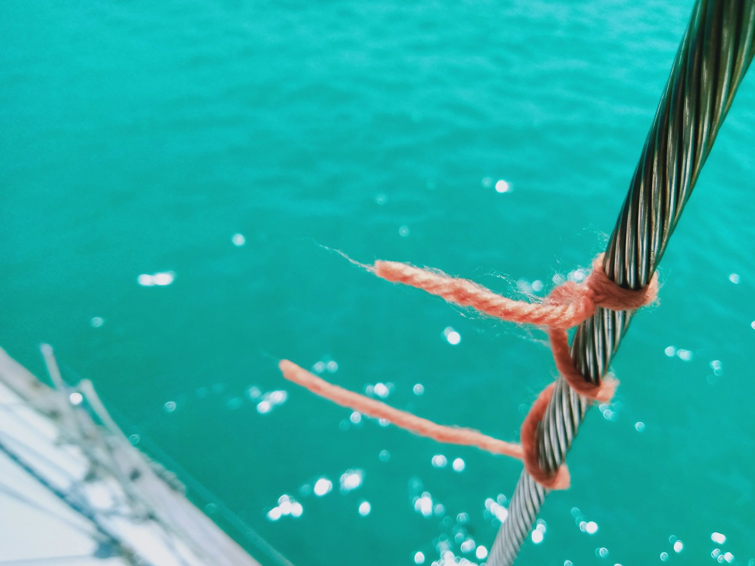 Sailing Back To Uncertainty — OddGodfrey: The Oddly Compelling Story of ...