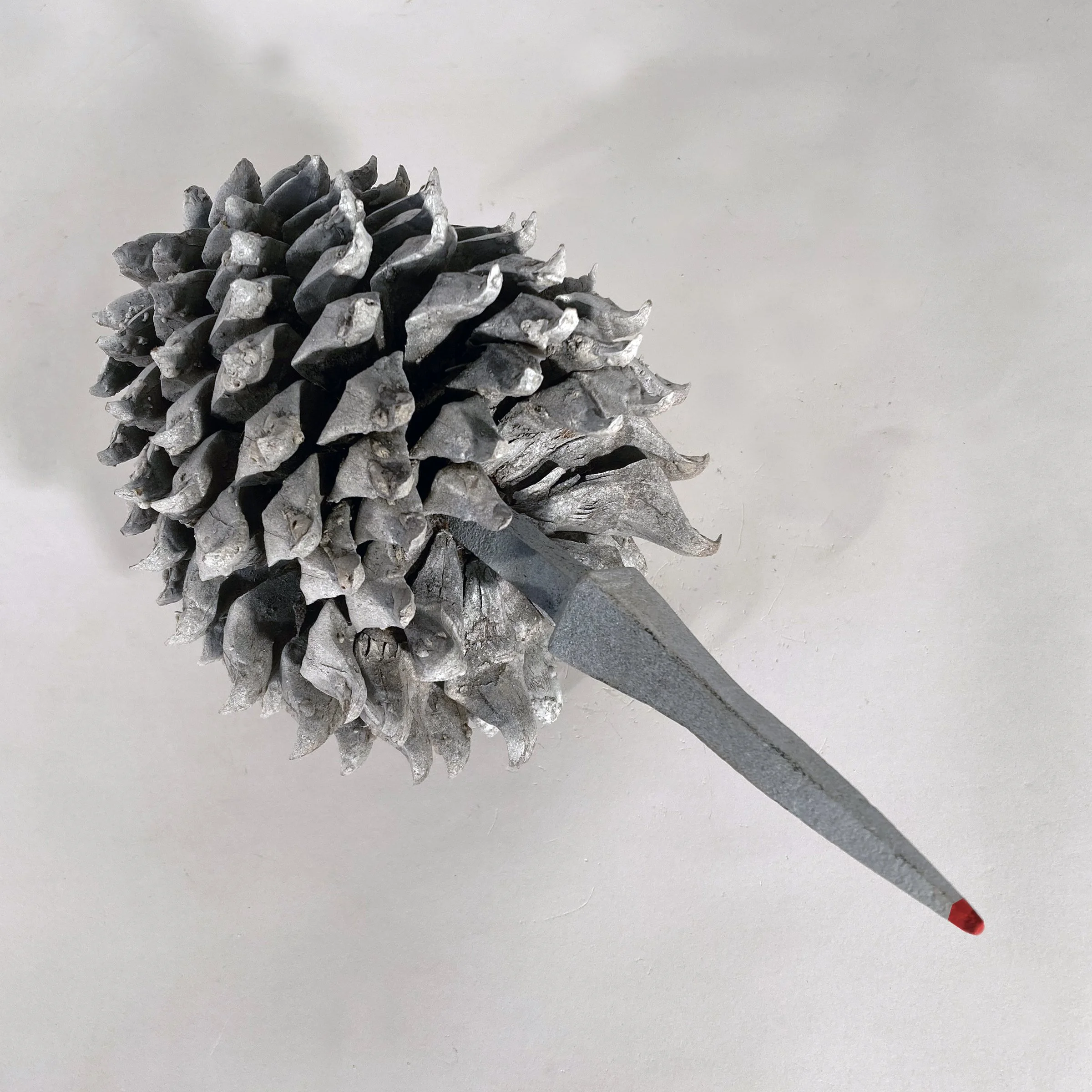 DAVID BUCKLEY BORDEN