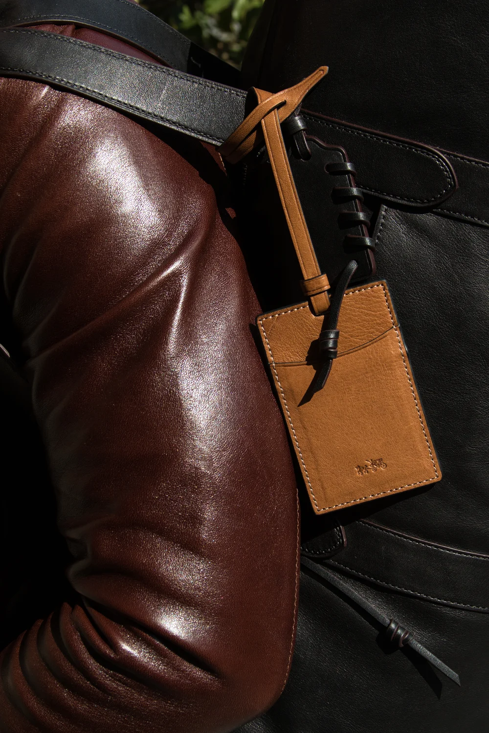 Welcome to the Urban Jungle — BARRETT PALL