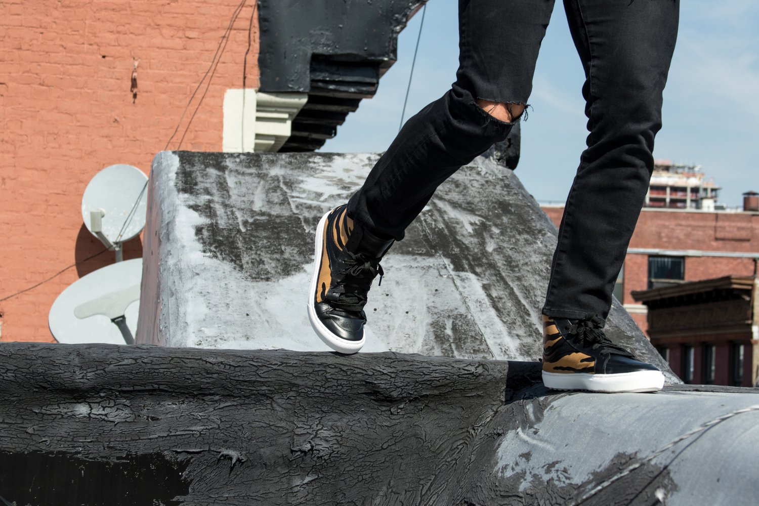 Welcome to the Urban Jungle — BARRETT PALL