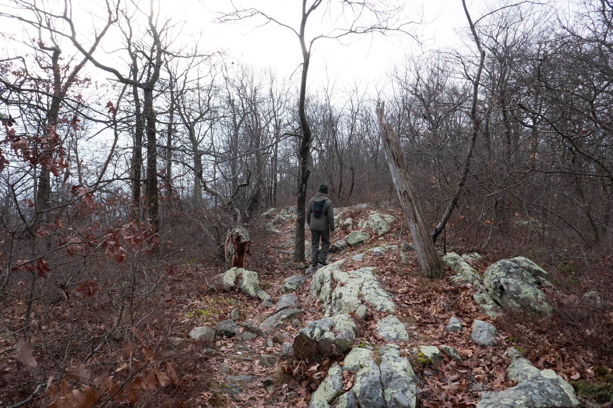 Monocacy Way Trail, Heritage Trail Section 26, Illick's Mill to ...
