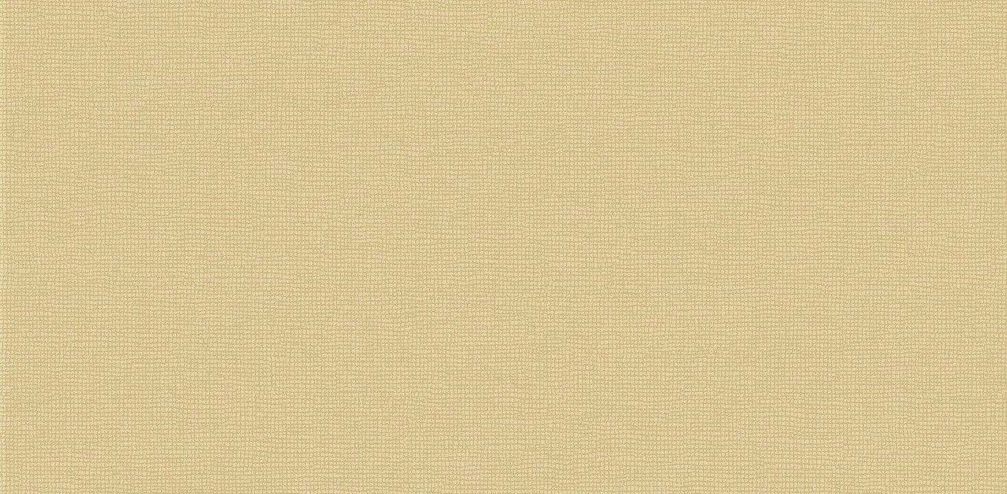 SEQUENCE — CGM Wallpaper