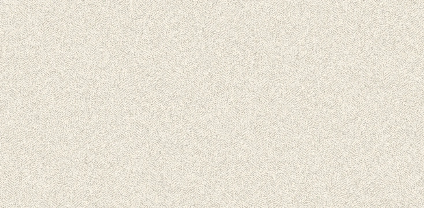 SEQUENCE — CGM Wallpaper